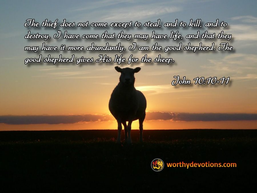 Know Your Shepherd! - Worthy Christian Devotions - Daily Devotional