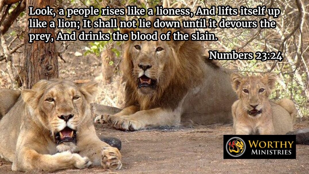 Rise like a lion! - Worthy Christian Devotions - Daily Devotional